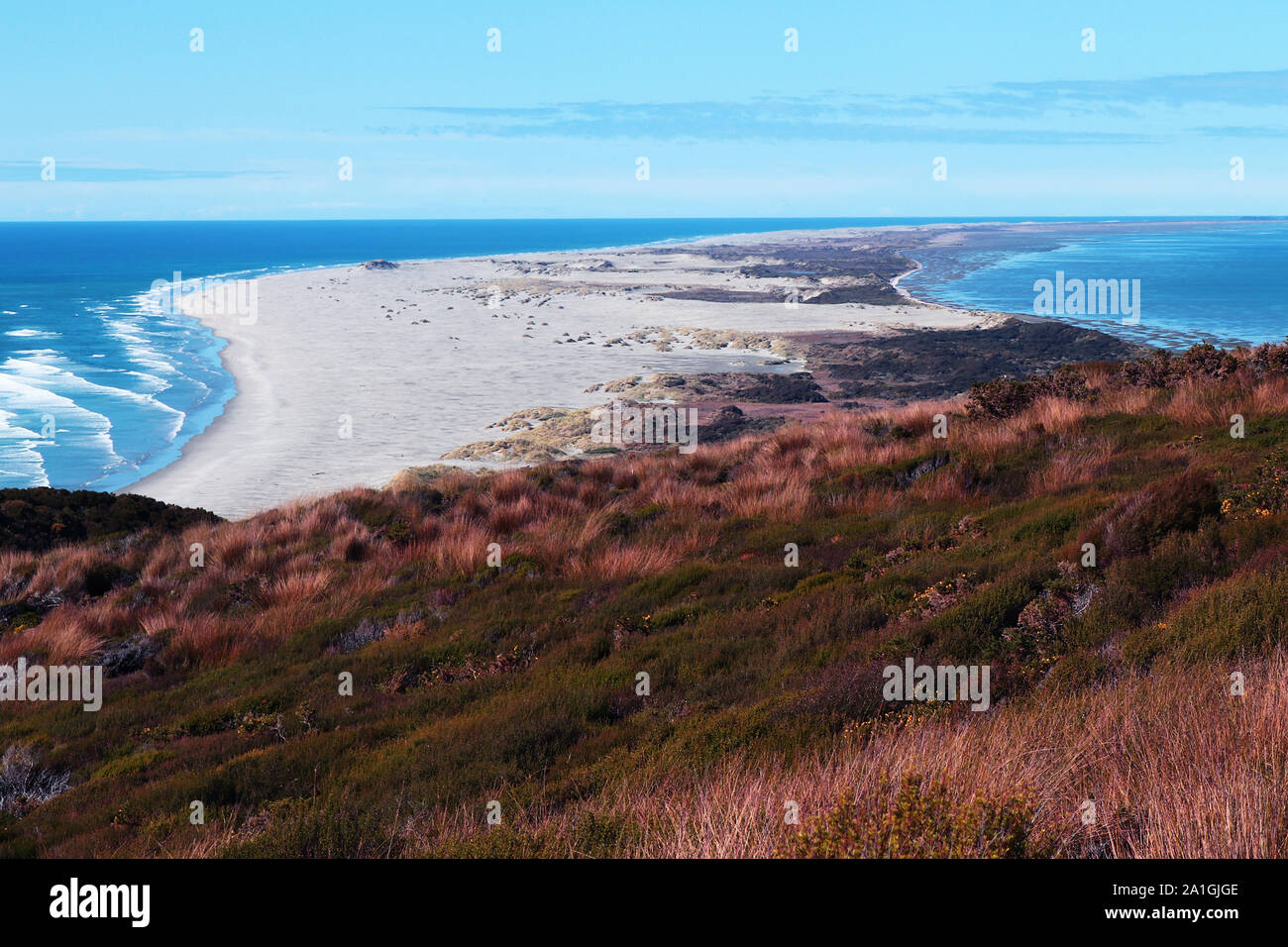 Landscape near Farewell Spit, New Zealand Stock Photo - Alamy