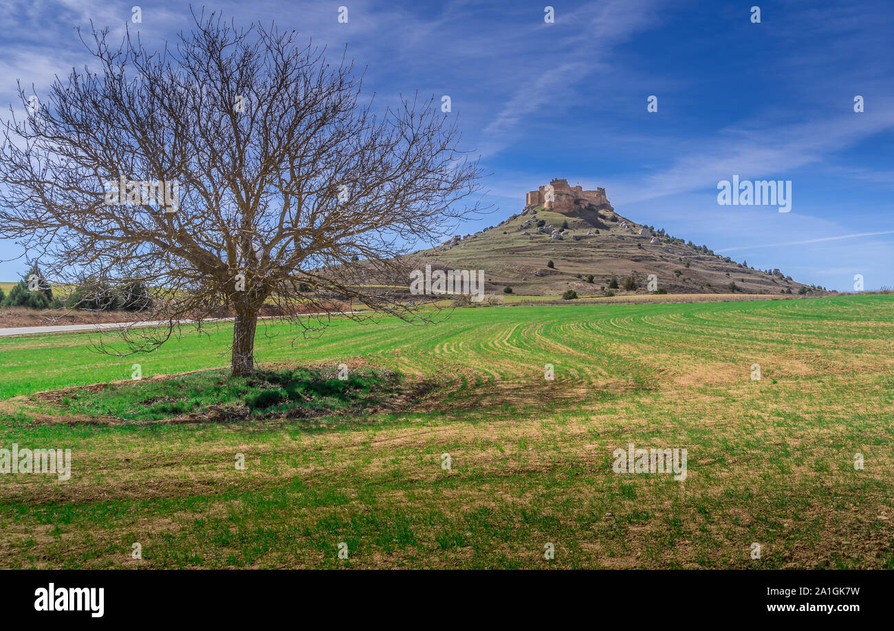 Aerial panorama of Gormaz castle in Soria Spain above the Duero river ...