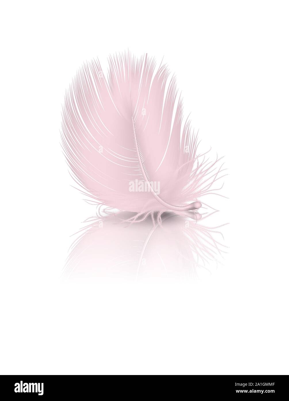 Vector 3d Realistic Falling Pink Flamingo Fluffy Twirled Feather with ...