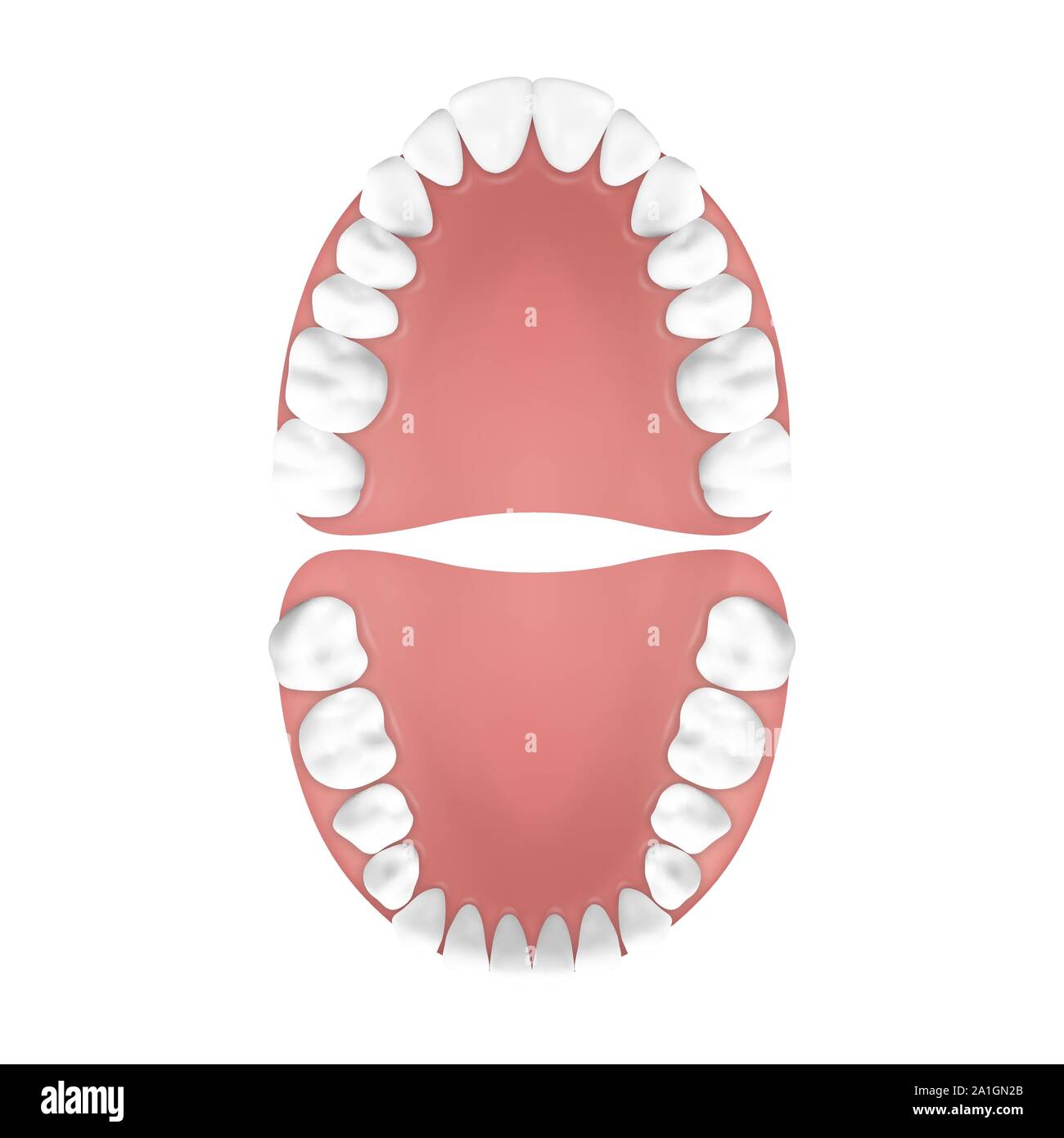 Teeth human top view Cut Out Stock Images & Pictures - Alamy
