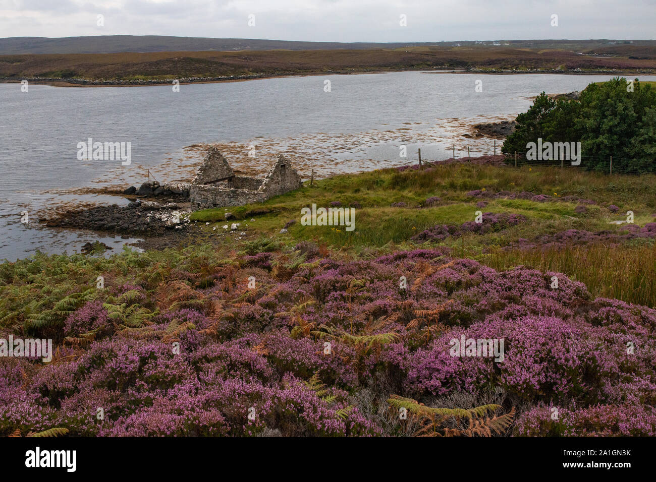 old stone homes are fairly common sights throughout Scotland. Imagine ...