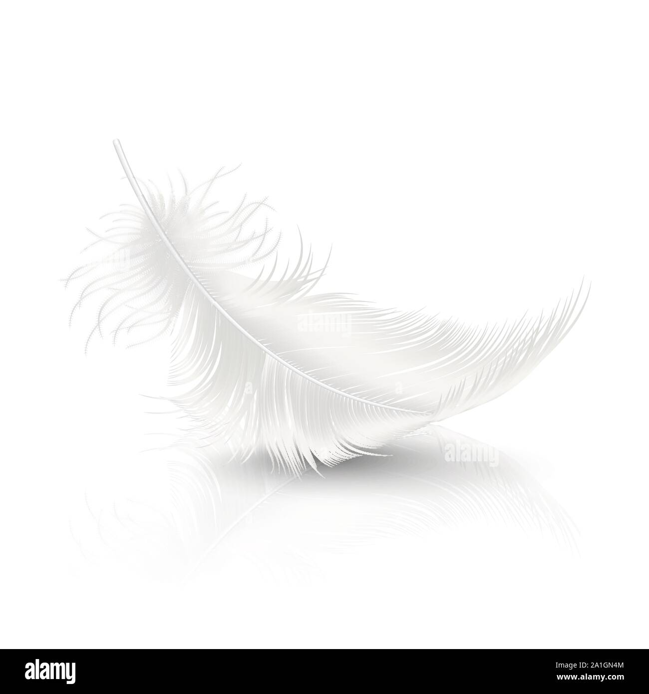 Falling Angel Feathers