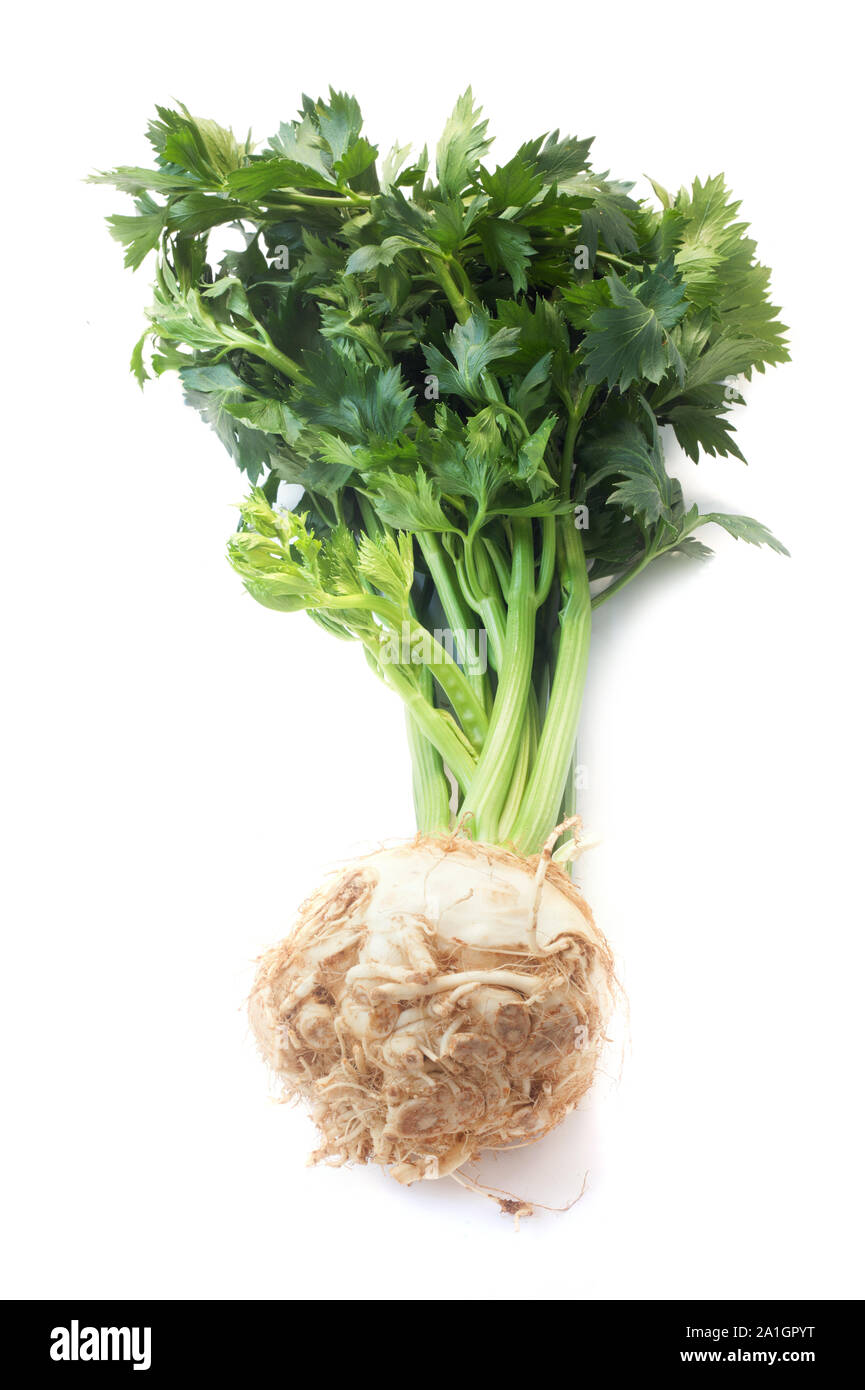 Knob celery Cut Out Stock Images & Pictures - Alamy