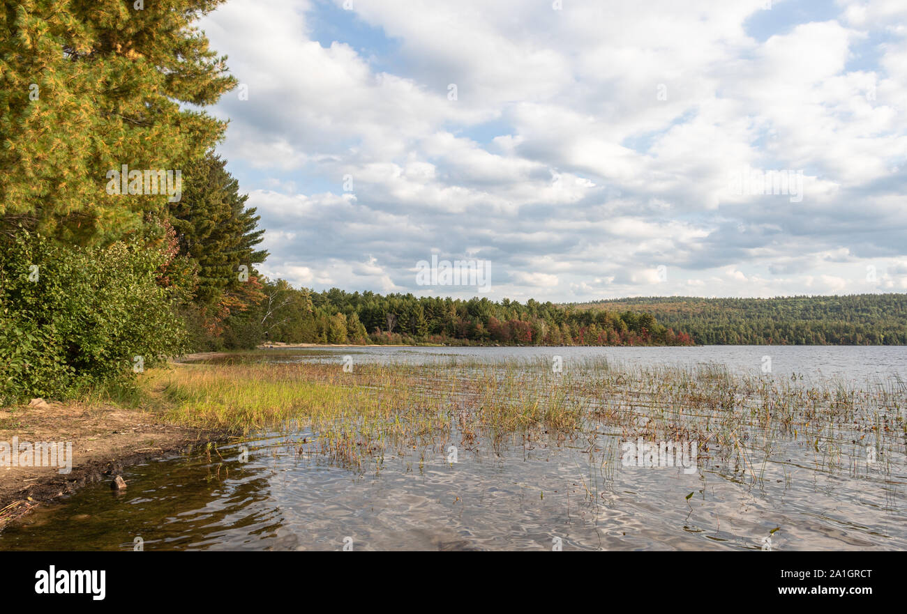 Algonquin park hi-res stock photography and images - Alamy