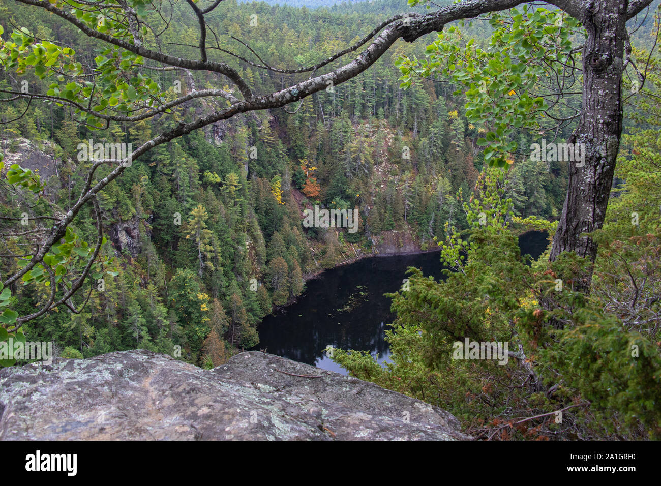 View into Barron Canyon and surrounding forest in Algonquin Park ...
