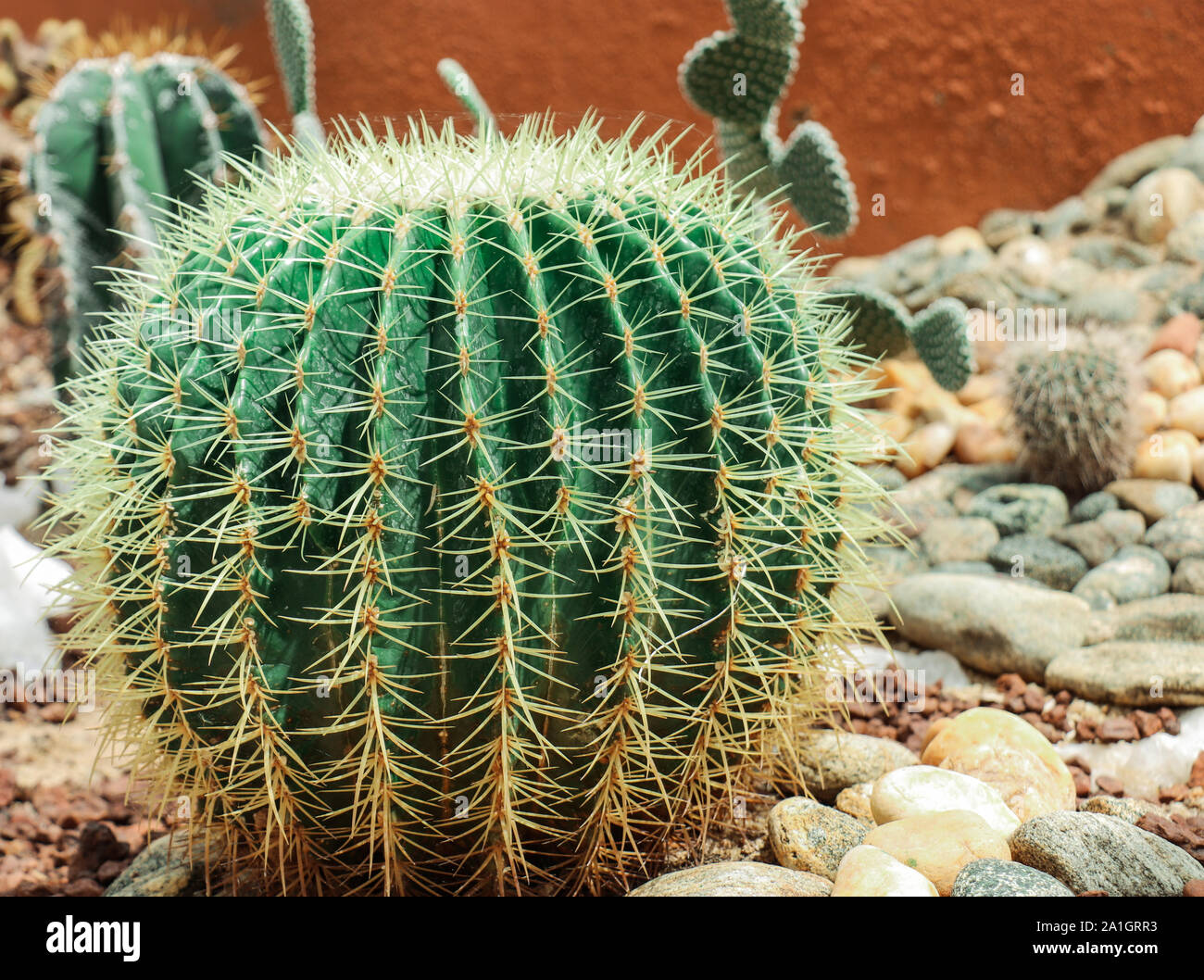 Nature website image hi-res stock photography and images - Alamy