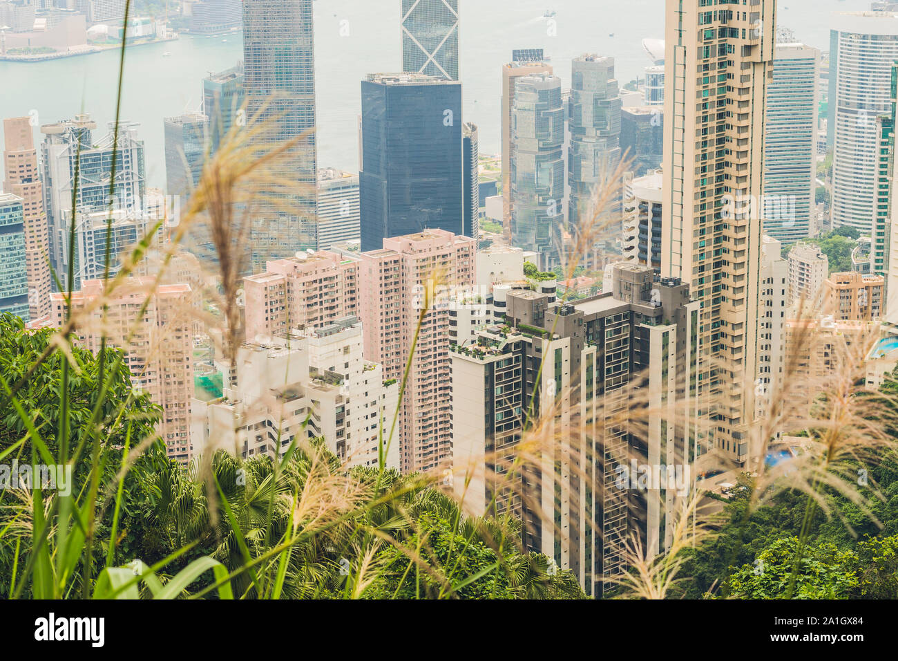Hong Kong skyline. View from Victoria Peak Stock Photo - Alamy