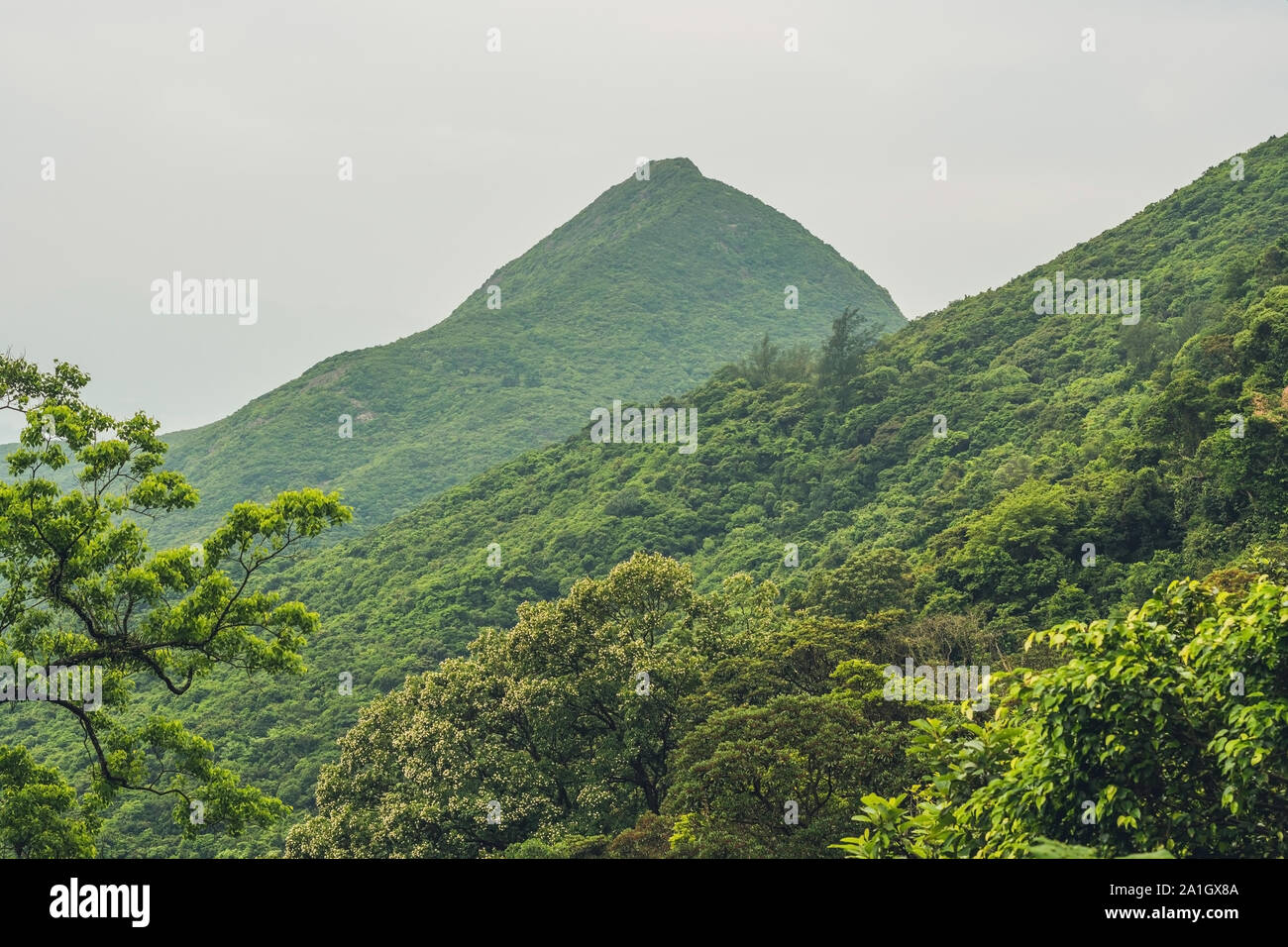 Hongkong skyline hiking hi-res stock photography and images - Alamy