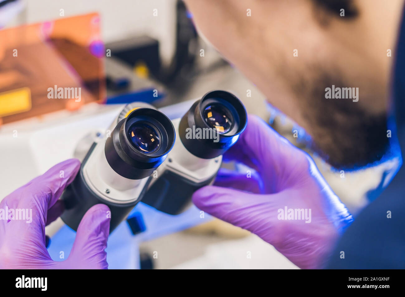 Scientist work on a confocal scanning microscope in a laboratory for ...