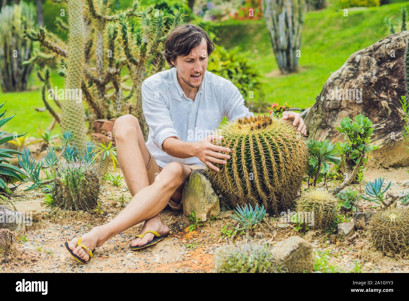 A man is sitting among large cacti. Pain concept Stock Photo - Alamy