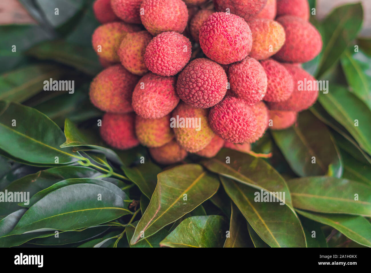 Fresh organic lychee fruit and lychee leaves on a rustic wooden ...