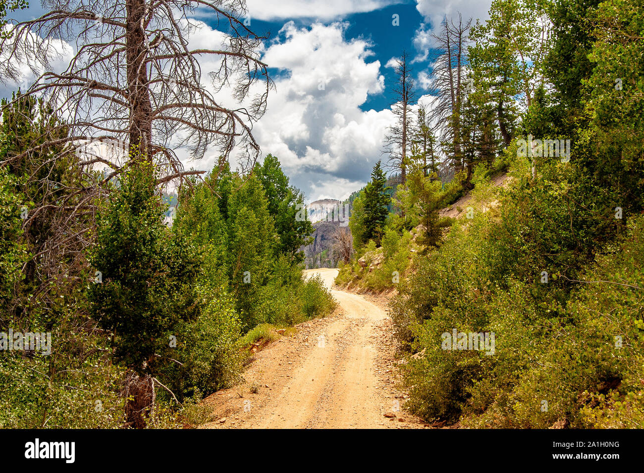 Near Marysvale, Utah which is located at the heart of Utah's famous ...