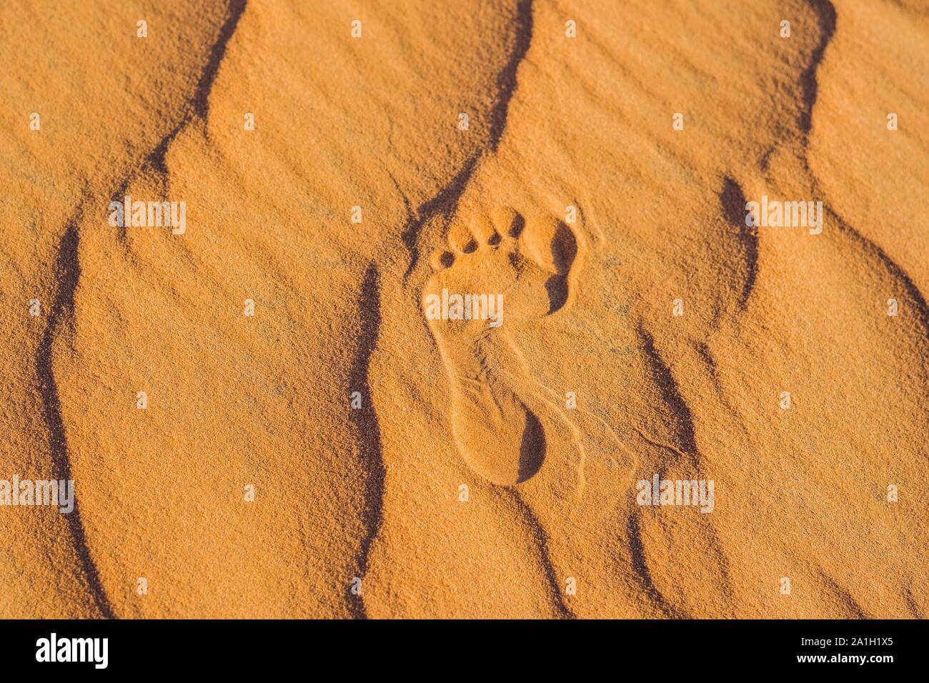 Footprints in the sand in the red desert at Sunrise Stock Photo - Alamy