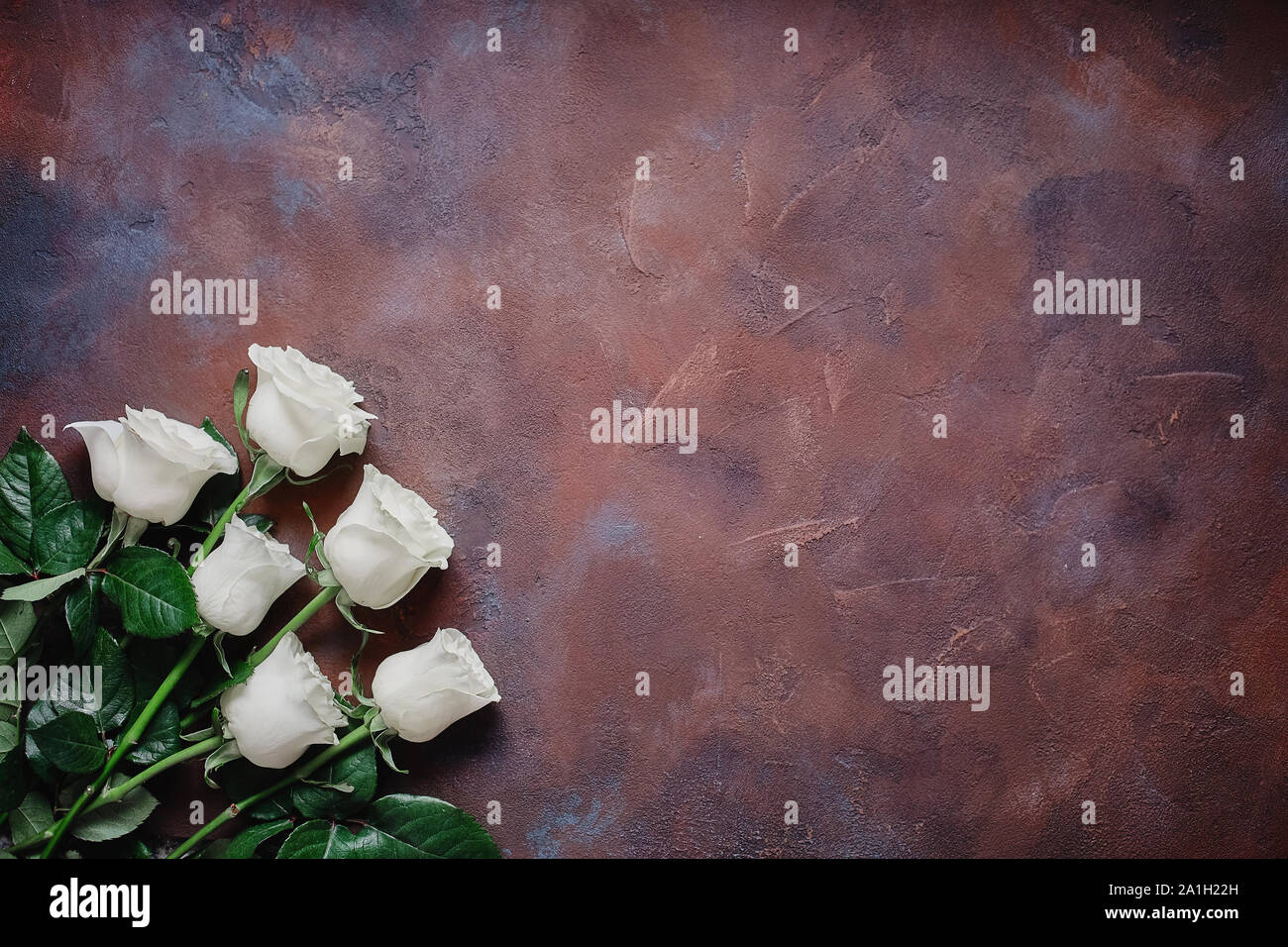 Six white roses on a beautiful stone background. Space for labels Stock ...