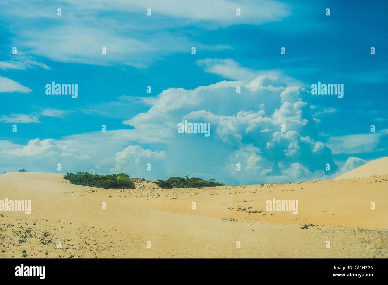 Yellow sand in the desert, Mui Ne, Vietnam Stock Photo - Alamy
