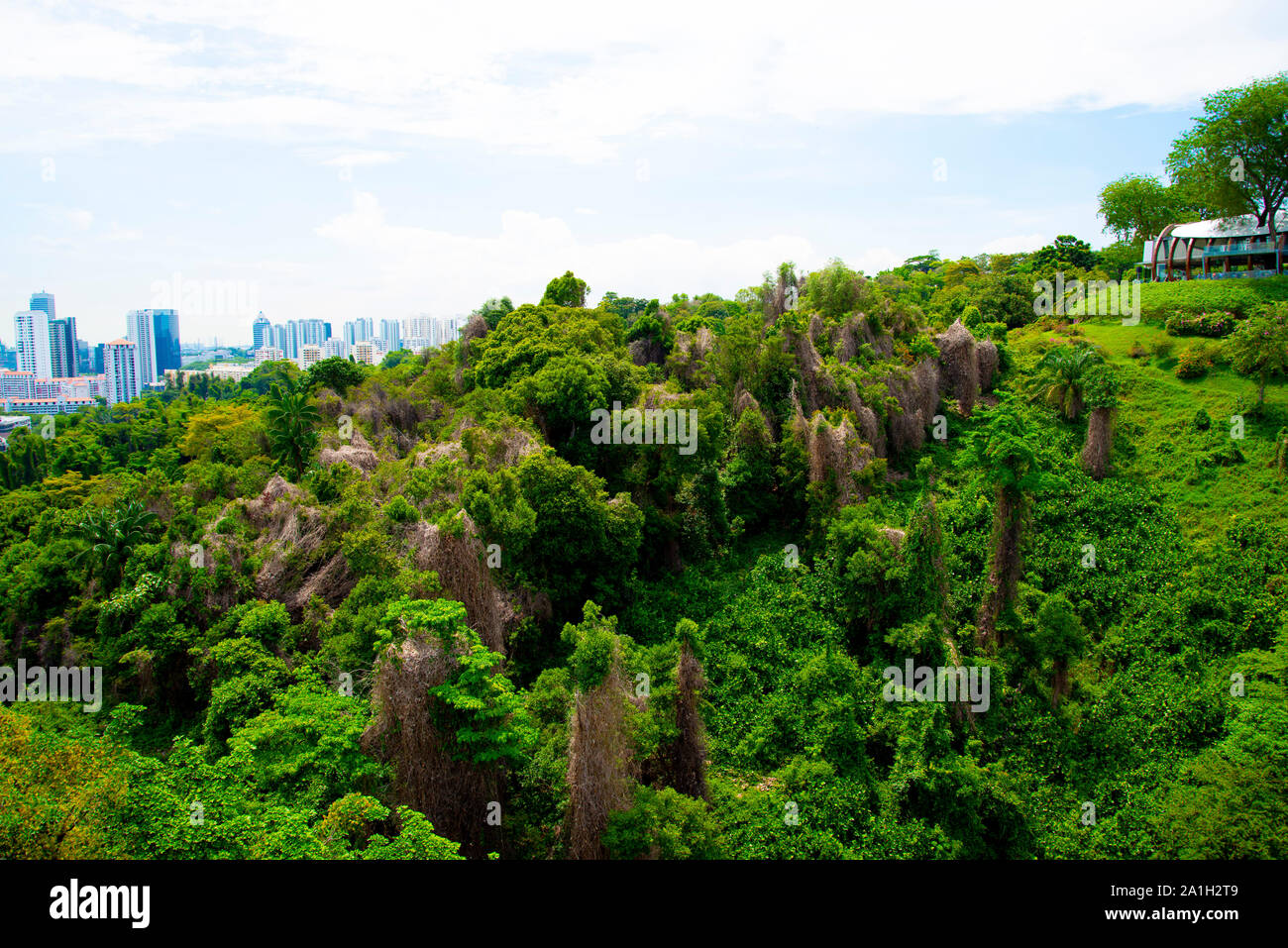 Mount Faber Park - Singapore Stock Photo - Alamy