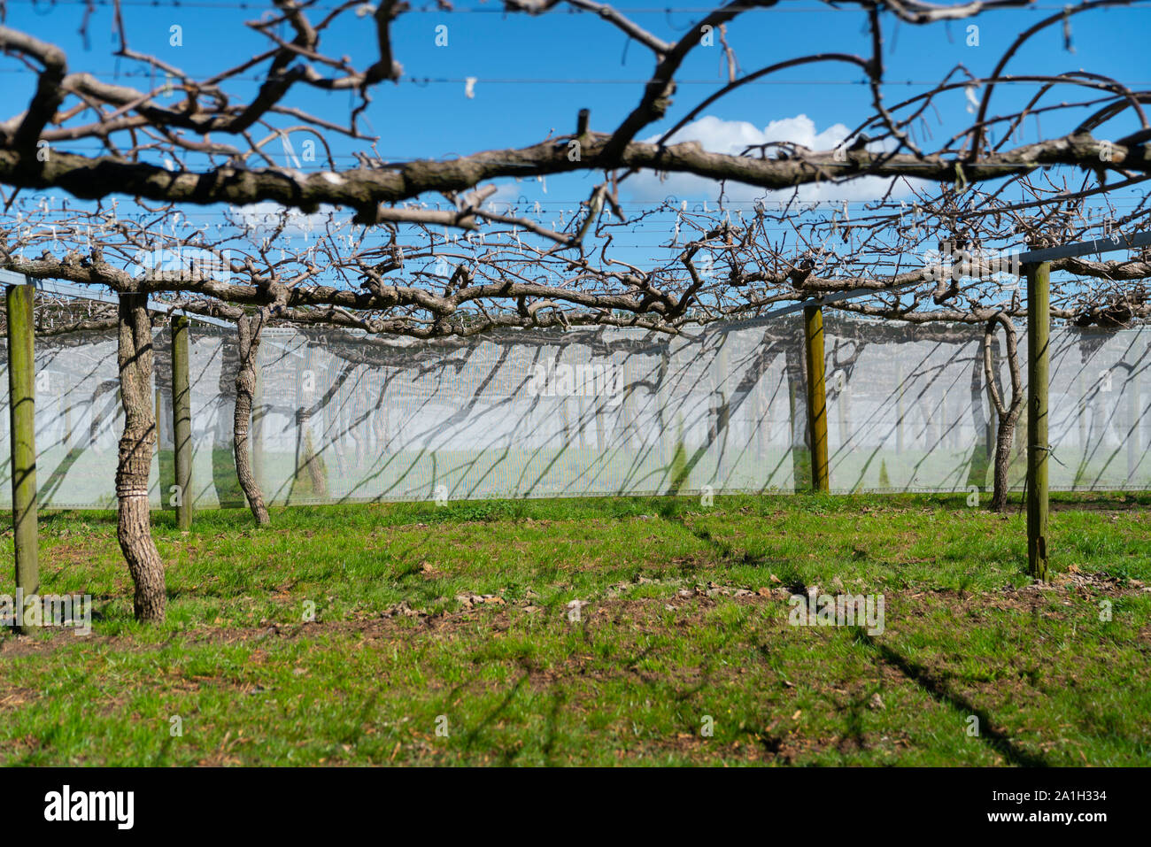 Puke on ground hi-res stock photography and images - Alamy