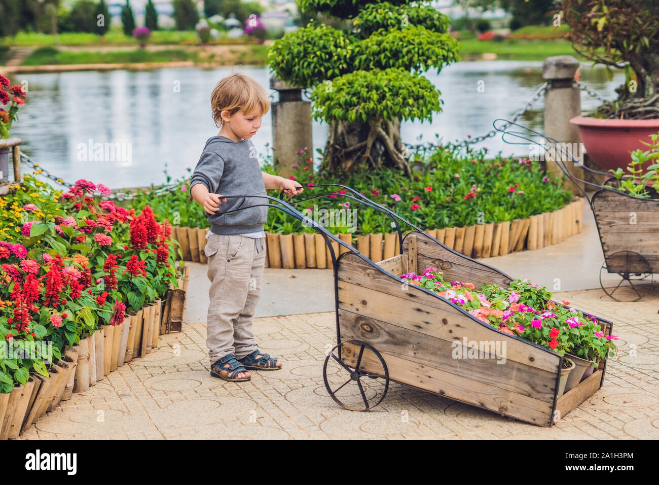 child pushing wheel trolley in the garden. sweet little toddler boy ...