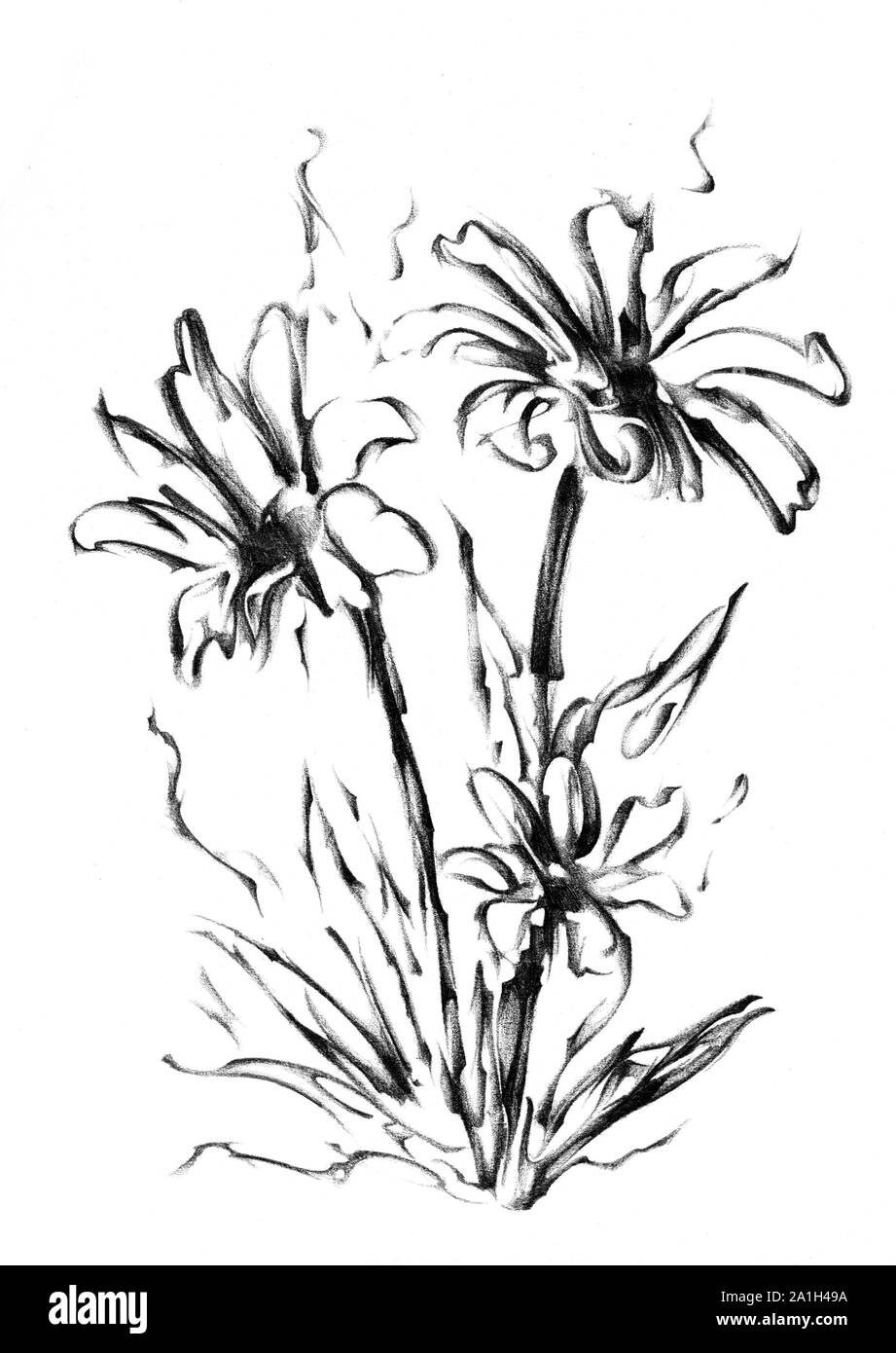 Flower drawing sketch art handmade Stock Photo - Alamy
