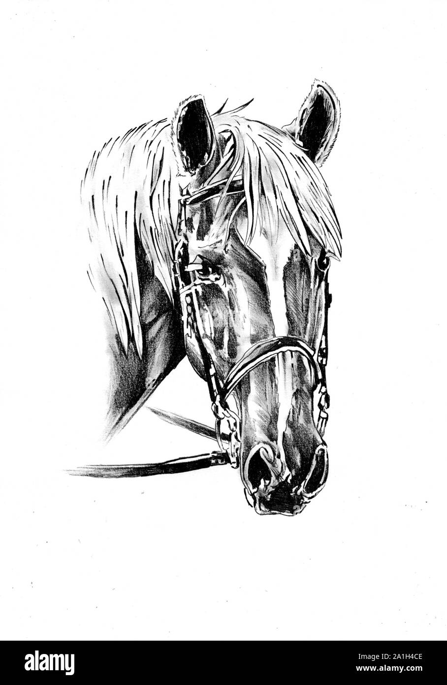 Cute horse animal cartoon Black and White Stock Photos & Images - Alamy