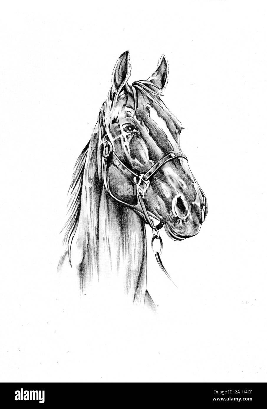 Faded drawing Black and White Stock Photos & Images - Alamy