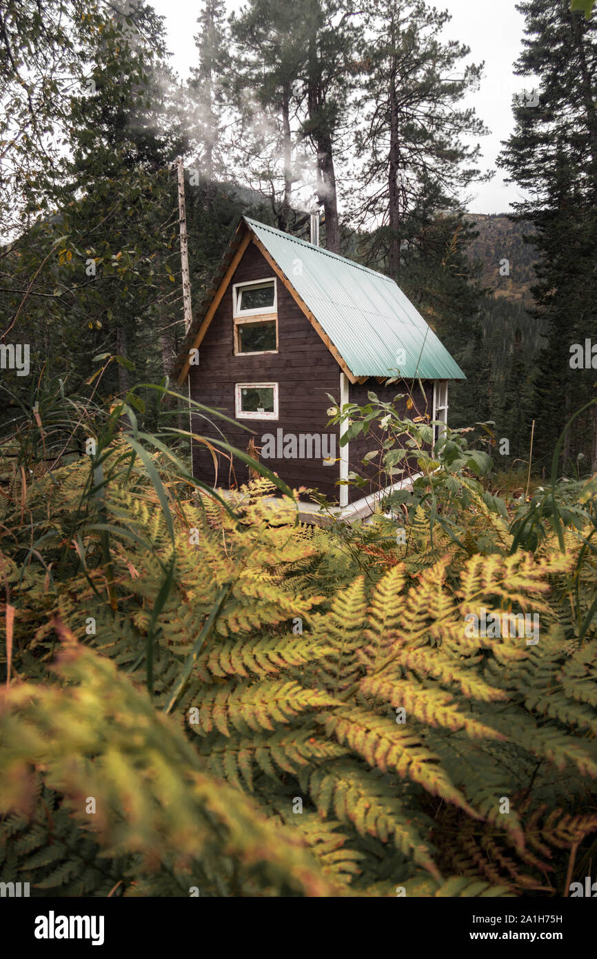 Black log cabin in a wooded setting during the autumn season Stock ...