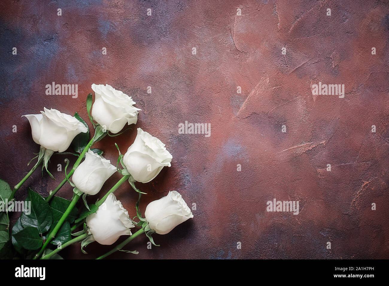 Six white roses on a beautiful stone background. Space for labels Stock ...