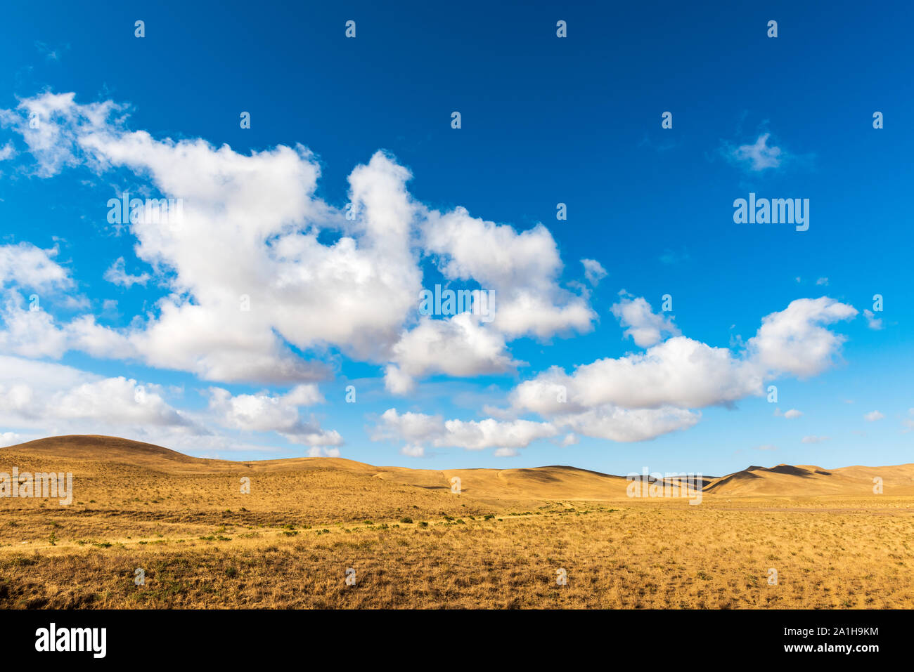 Cumulus clouds over prairie hi-res stock photography and images - Alamy