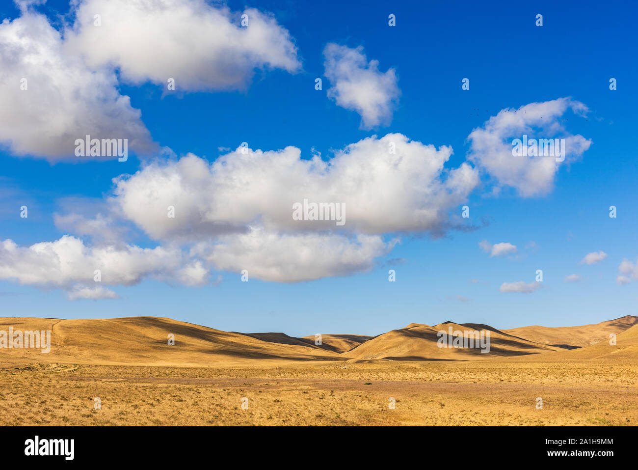 Cumulus clouds over prairie hi-res stock photography and images - Alamy