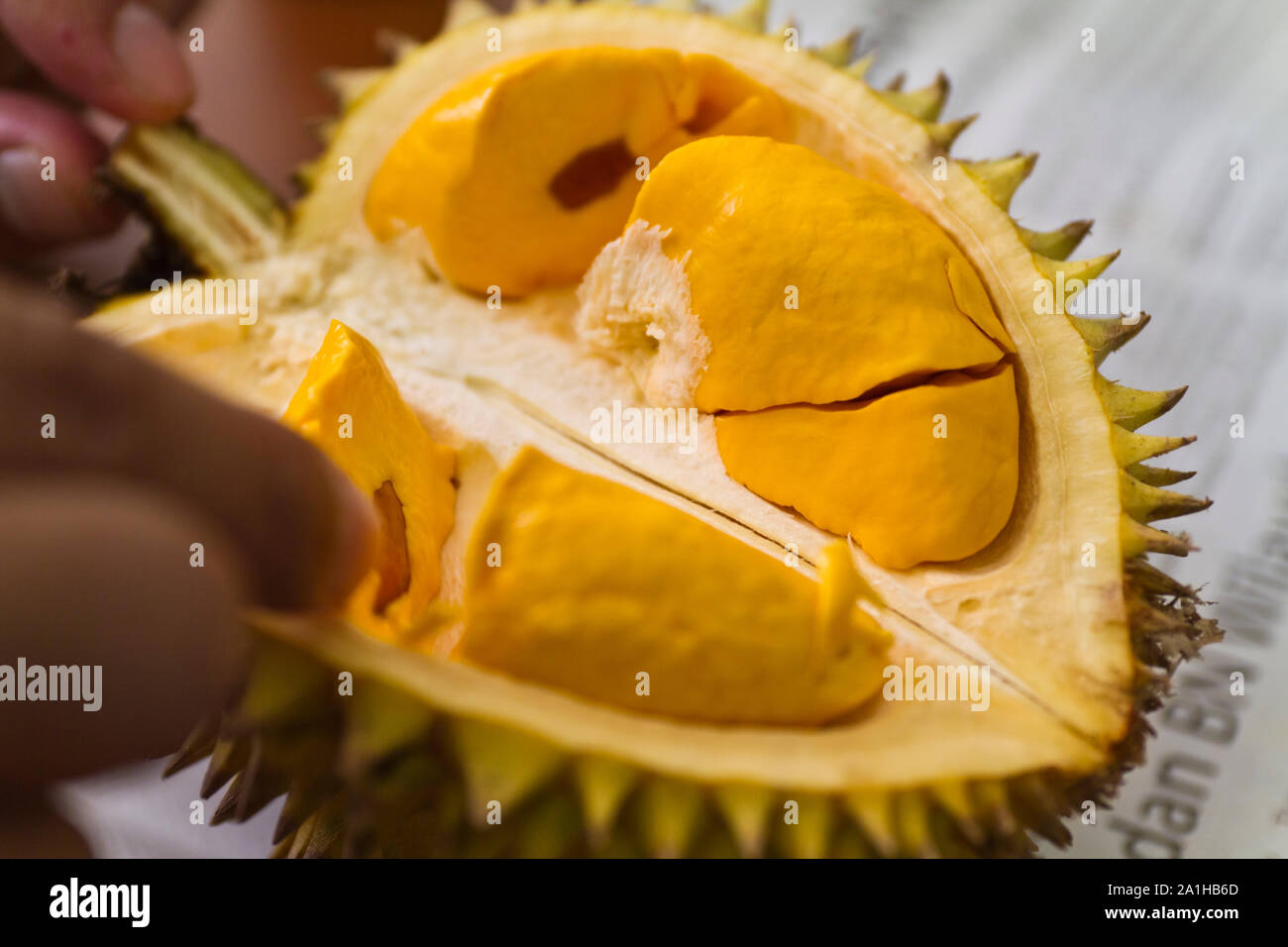taking on a delicious yellow durian flesh Stock Photo - Alamy