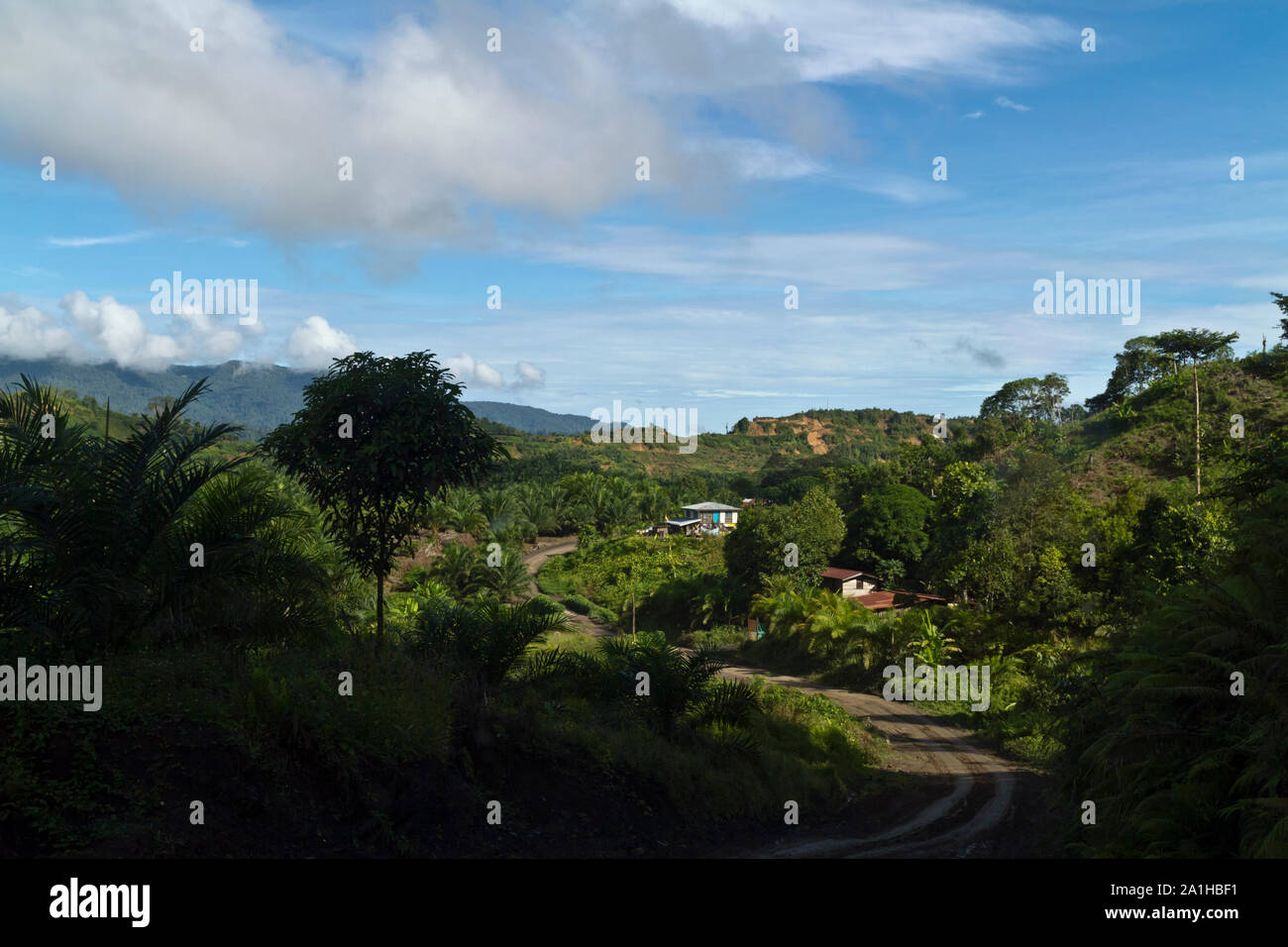 Sarawak rural landscape with hills and clouds in the background Stock ...