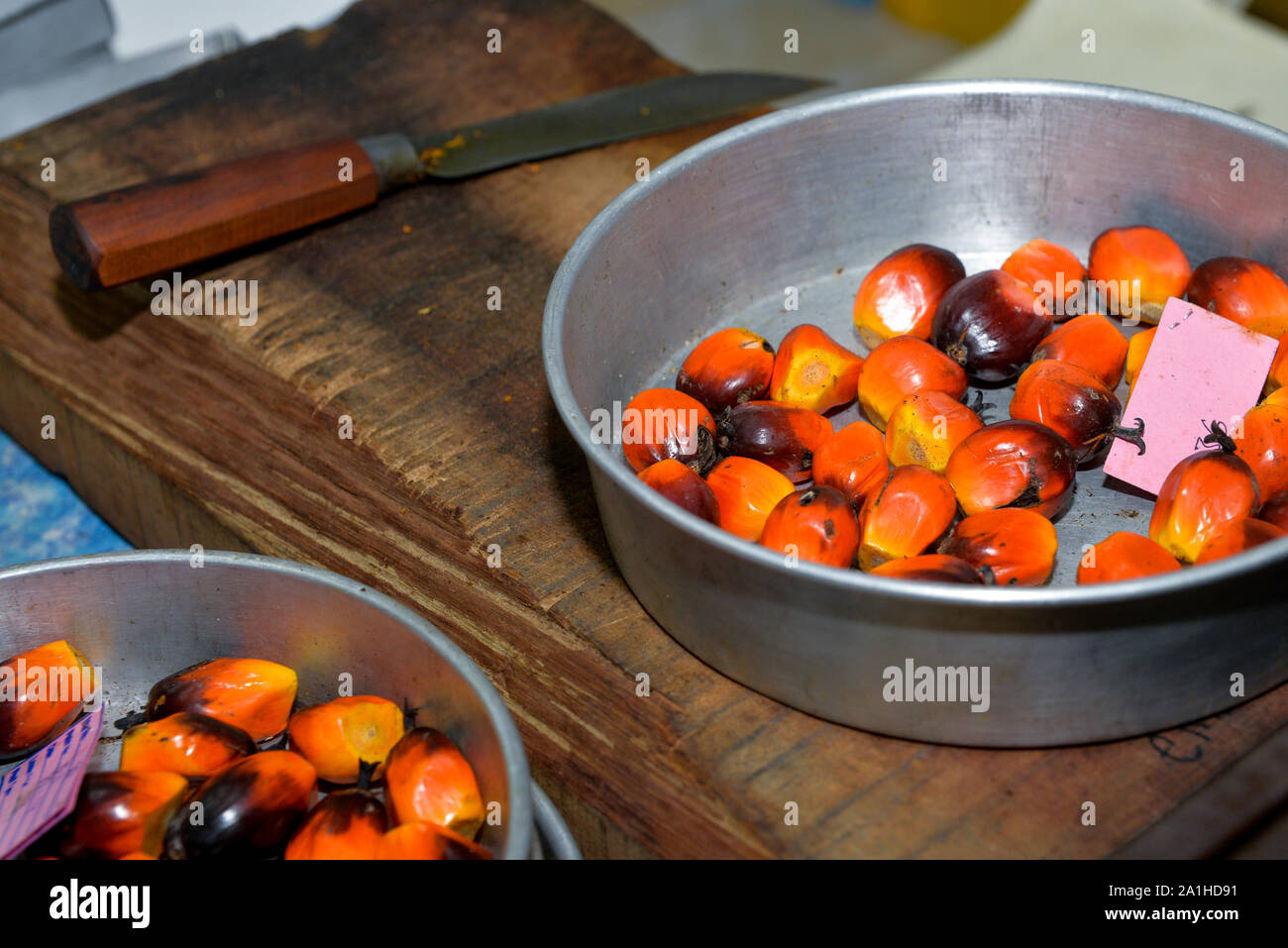the process and the tools of bunch analysis lab for oil palm industry ...