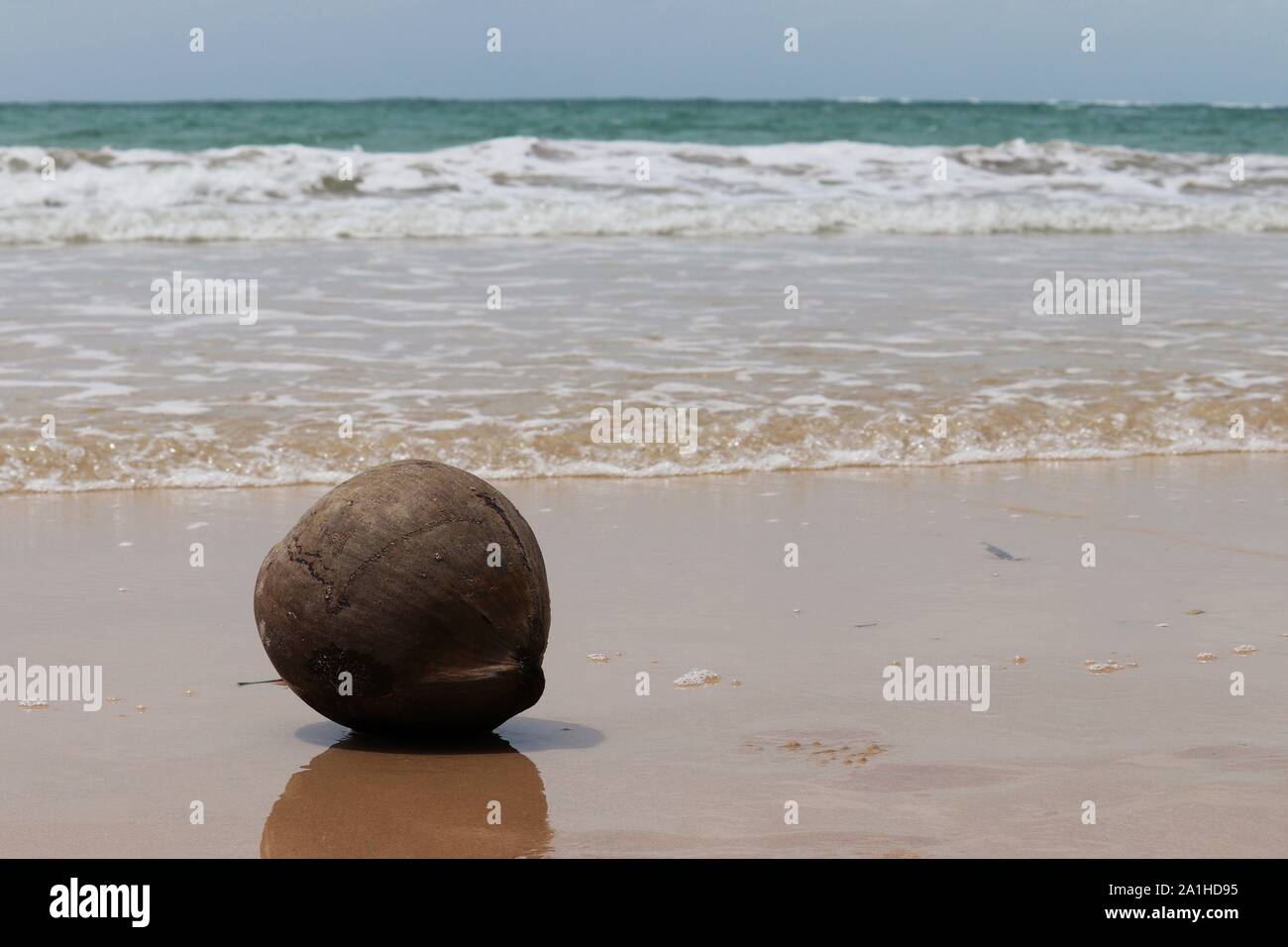 Azure water on beach coconut hi-res stock photography and images - Alamy