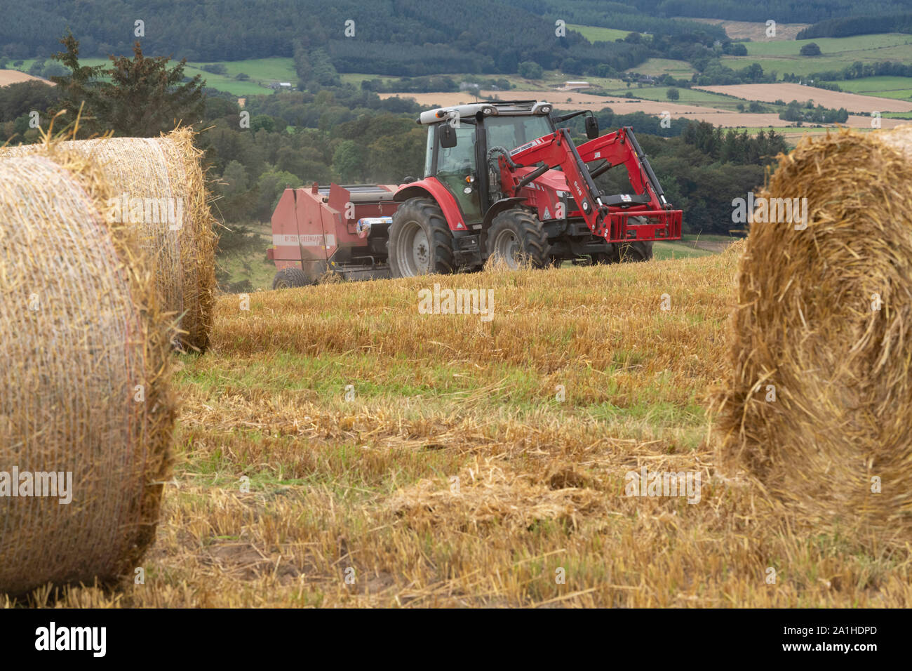 Farmer with straw hi-res stock photography and images - Alamy