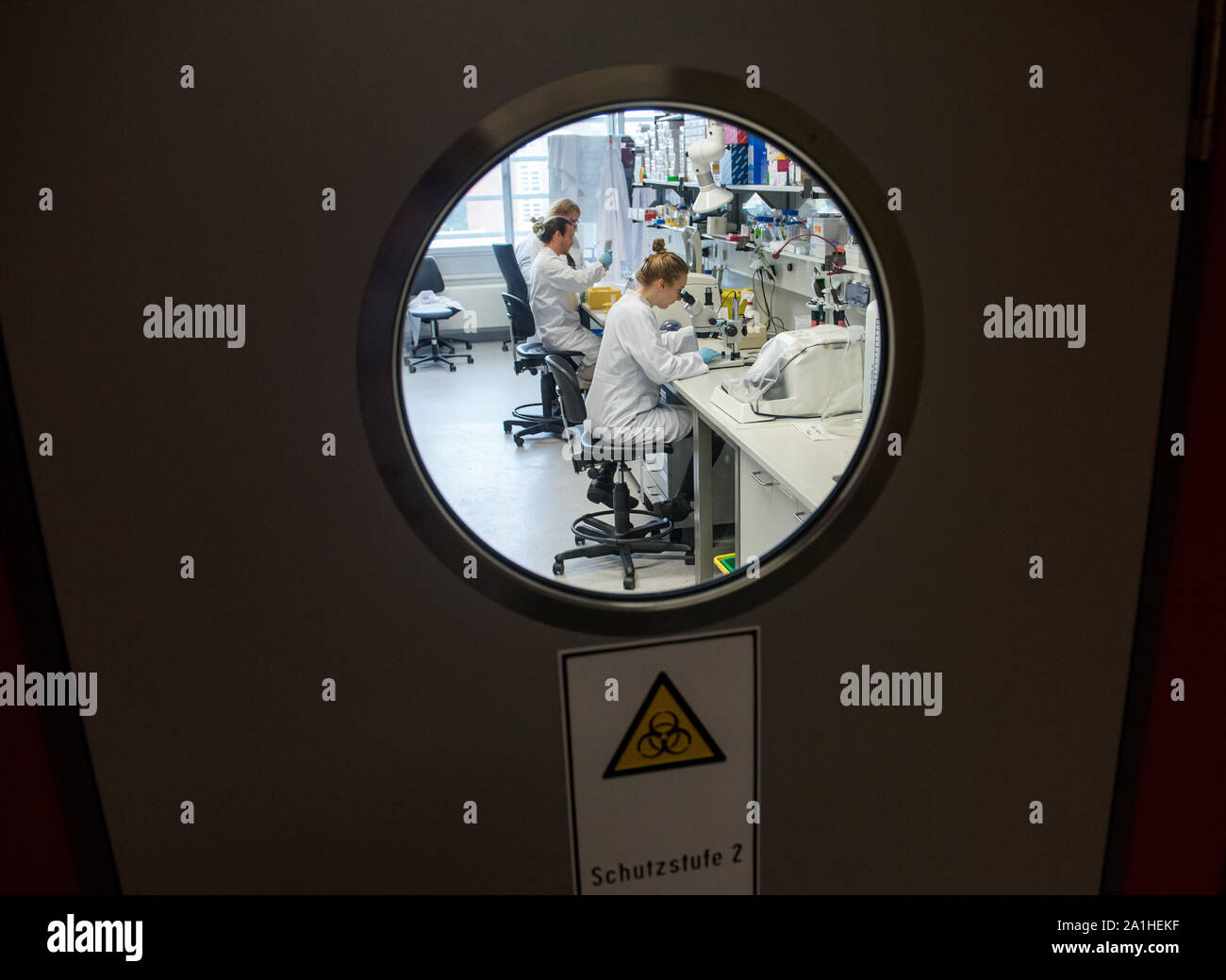 Hamburg, Germany. 25th Sep, 2019. Researchers work at the University ...