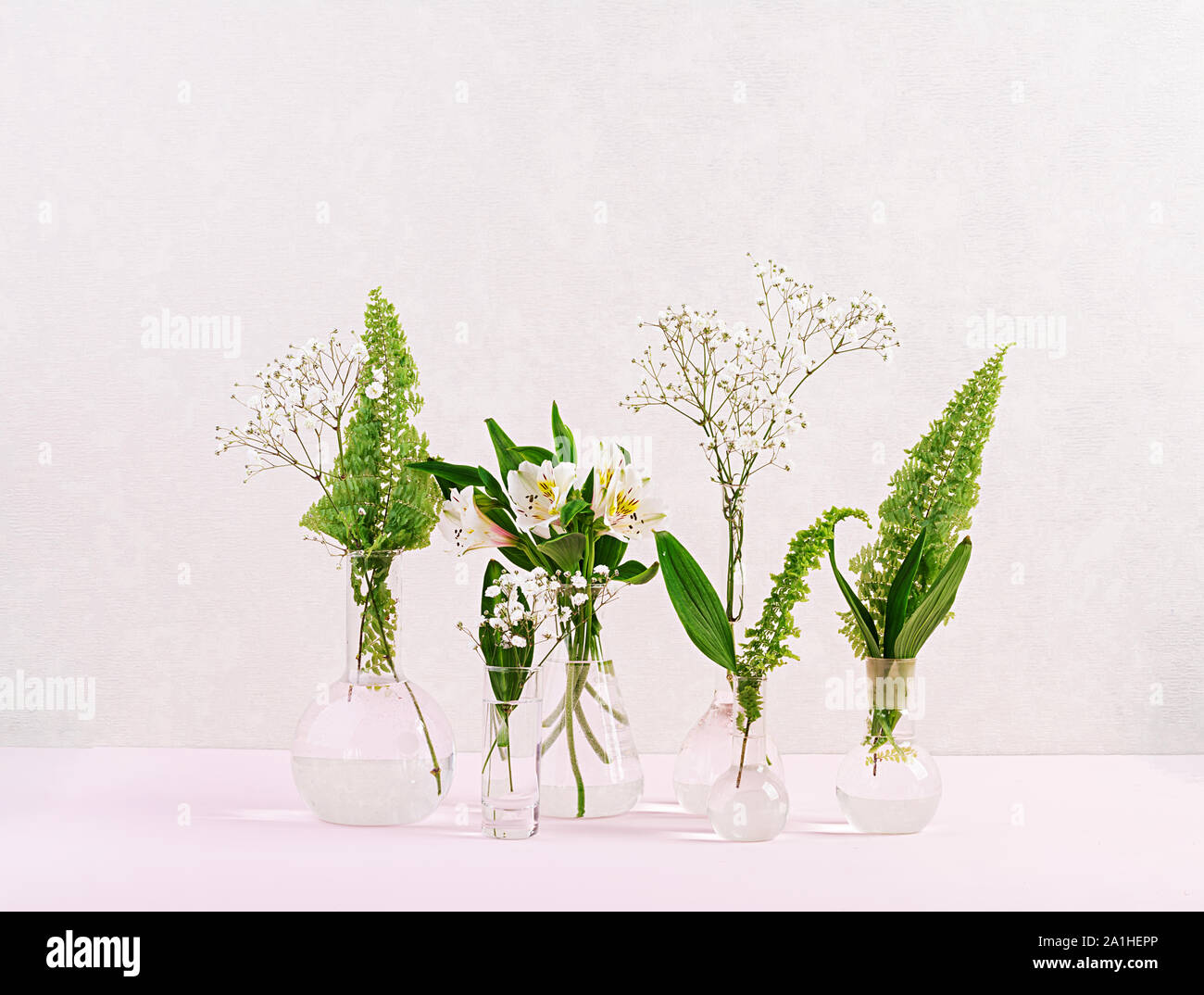 Flowers and plants in flask. Beautiful spring background with flowers ...