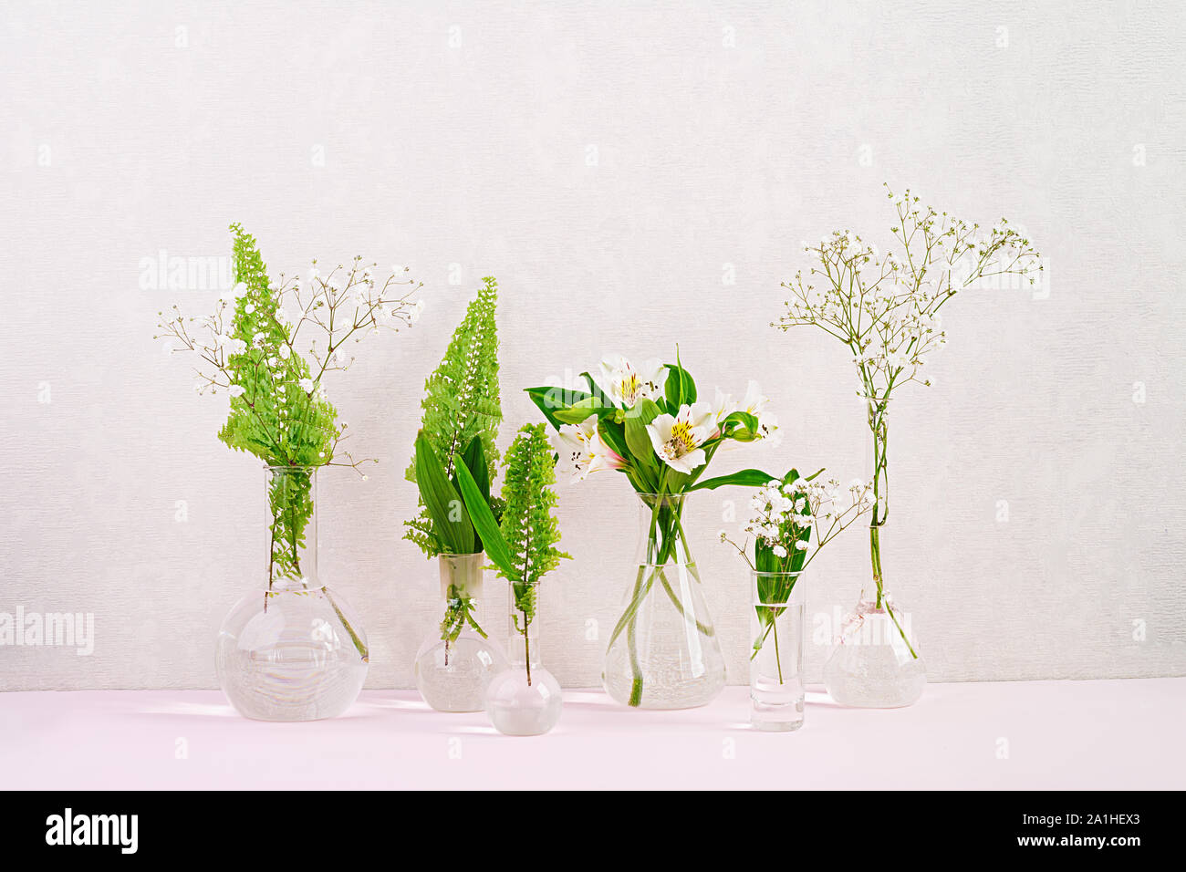 Flowers and plants in flask. Beautiful spring background with flowers ...