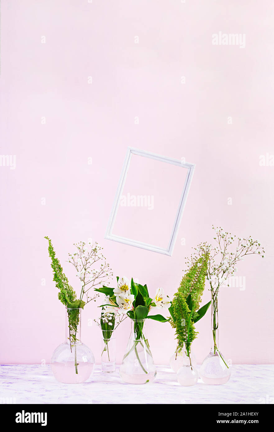 Flowers and plants in flask with frame. Beautiful spring background ...