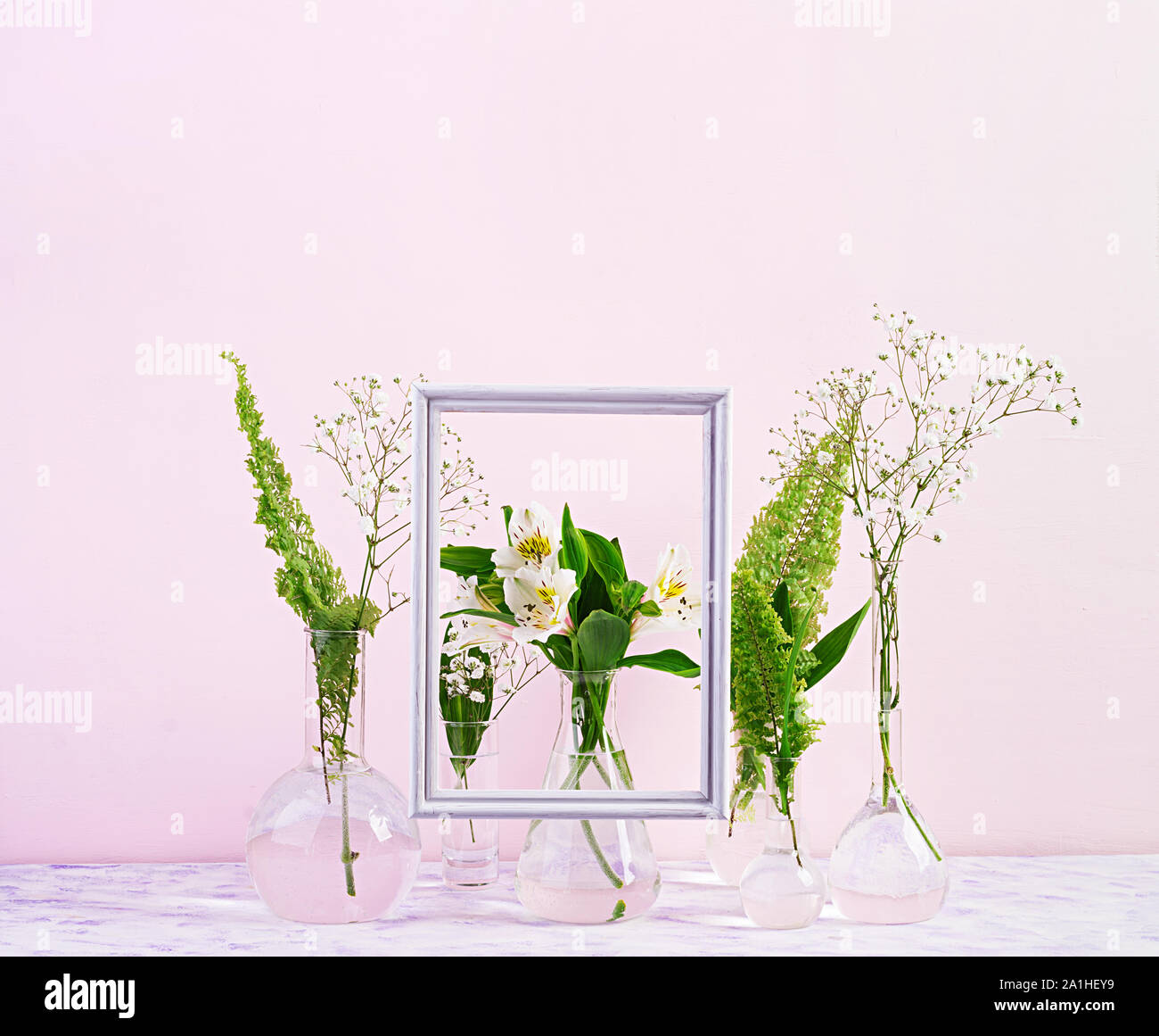 Flowers and plants in flask with frame. Beautiful spring background ...