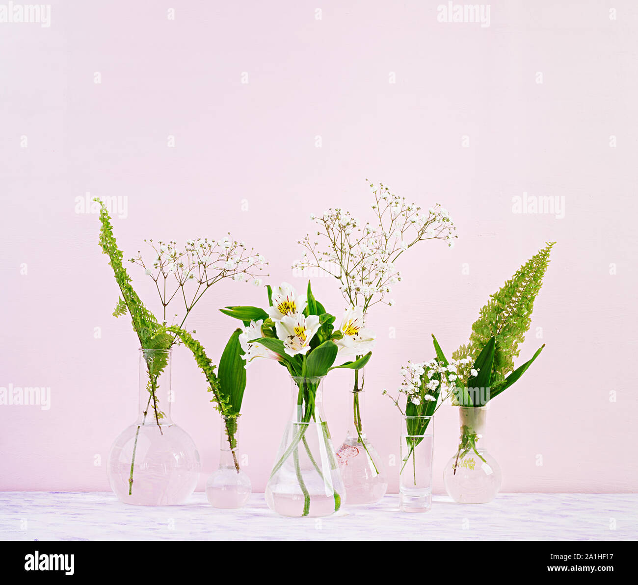 Flowers and plants in flask. Beautiful spring background with flowers ...