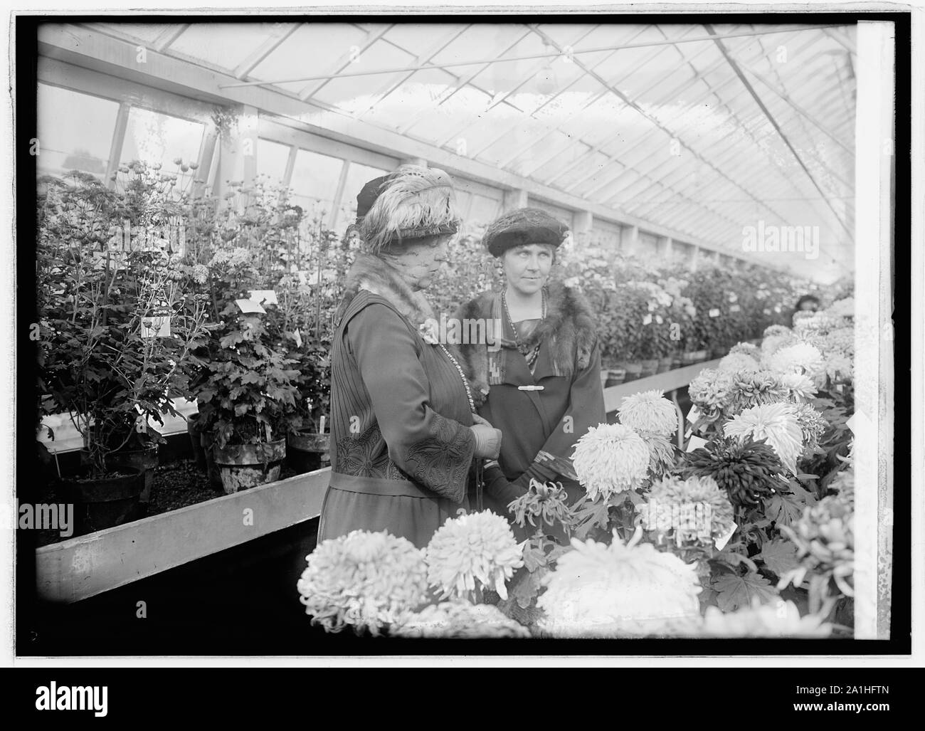 Mrs. Wallace & Mrs. Denby, 10/28/22 Stock Photo - Alamy