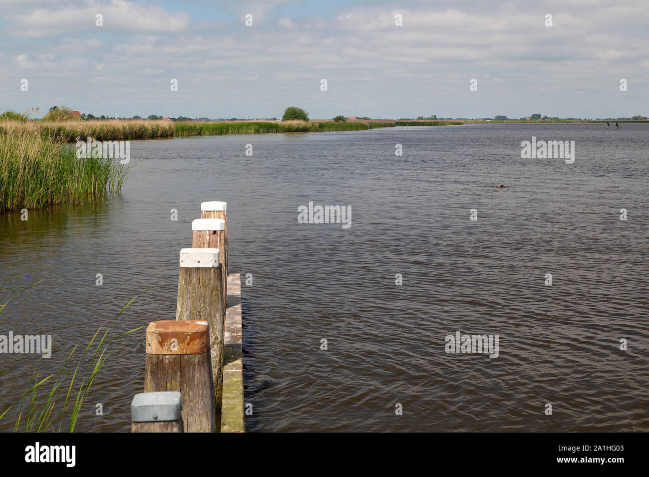 Typical landscape with lakes of Dutch province Friesland Stock Photo ...