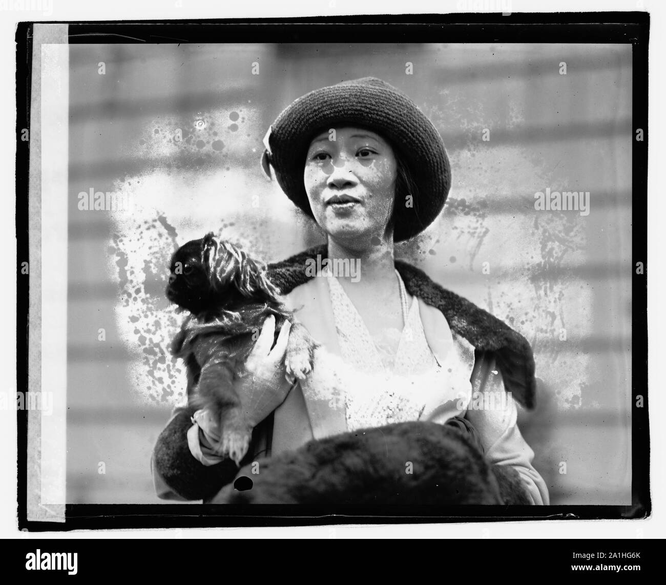 Mrs wellington hi-res stock photography and images - Alamy