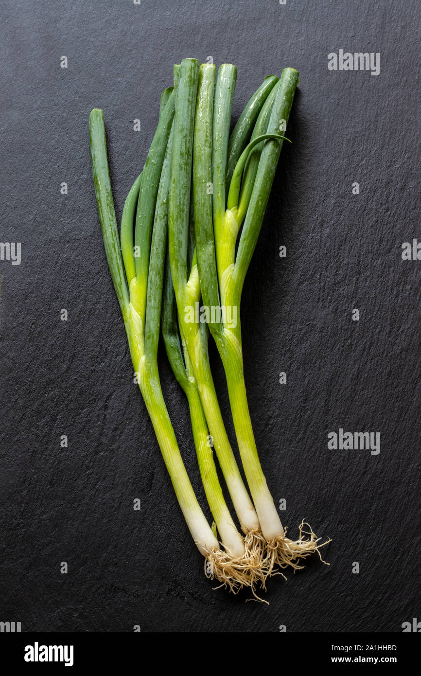Tasty shallot recipe hi-res stock photography and images - Alamy