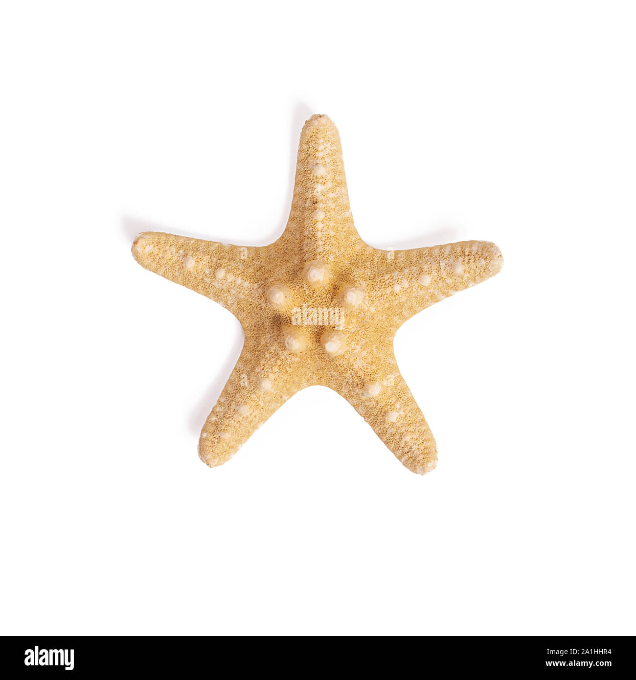 Reef top Cut Out Stock Images & Pictures - Alamy