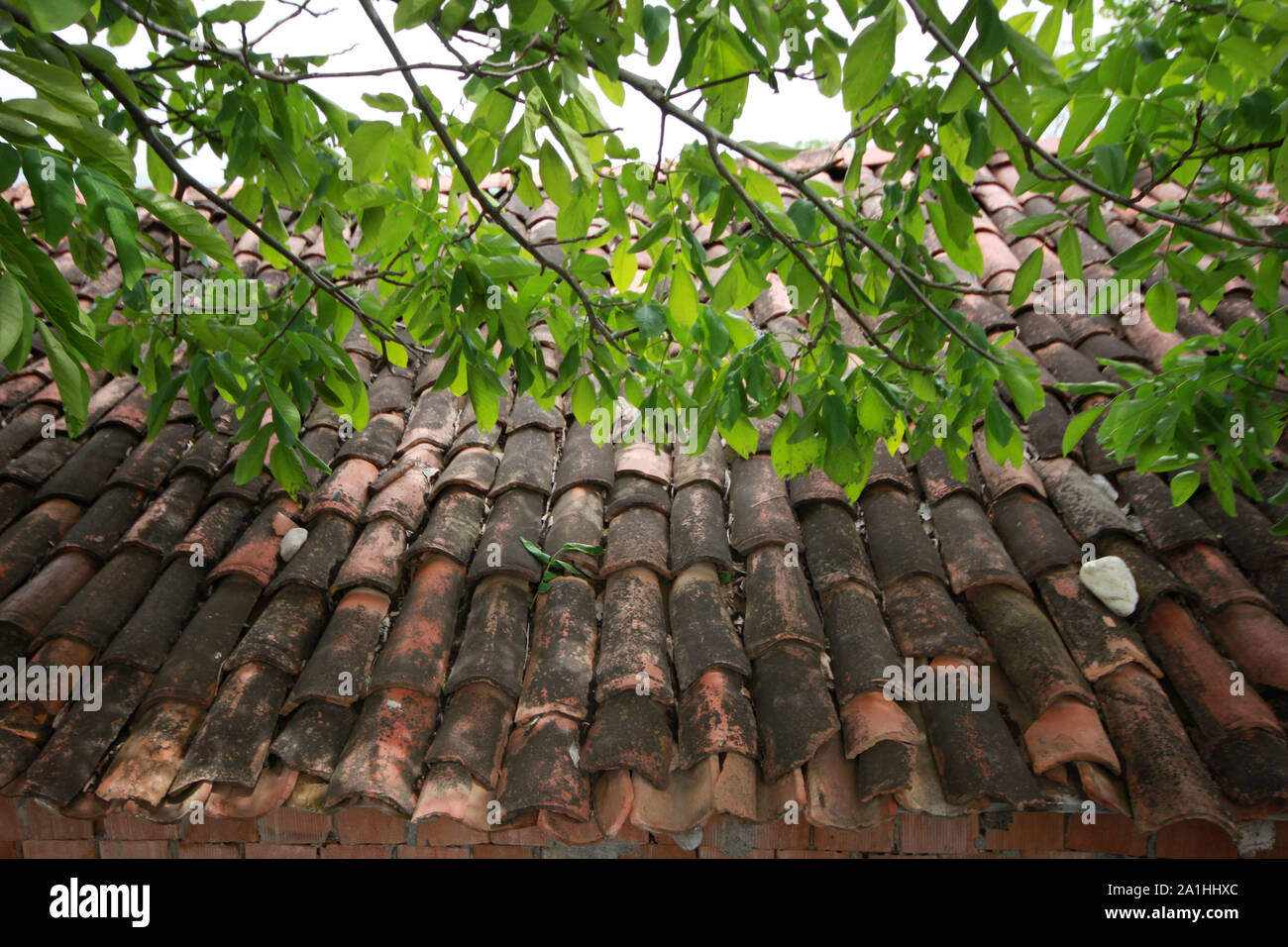 old brick tiles on the roof Stock Photo - Alamy