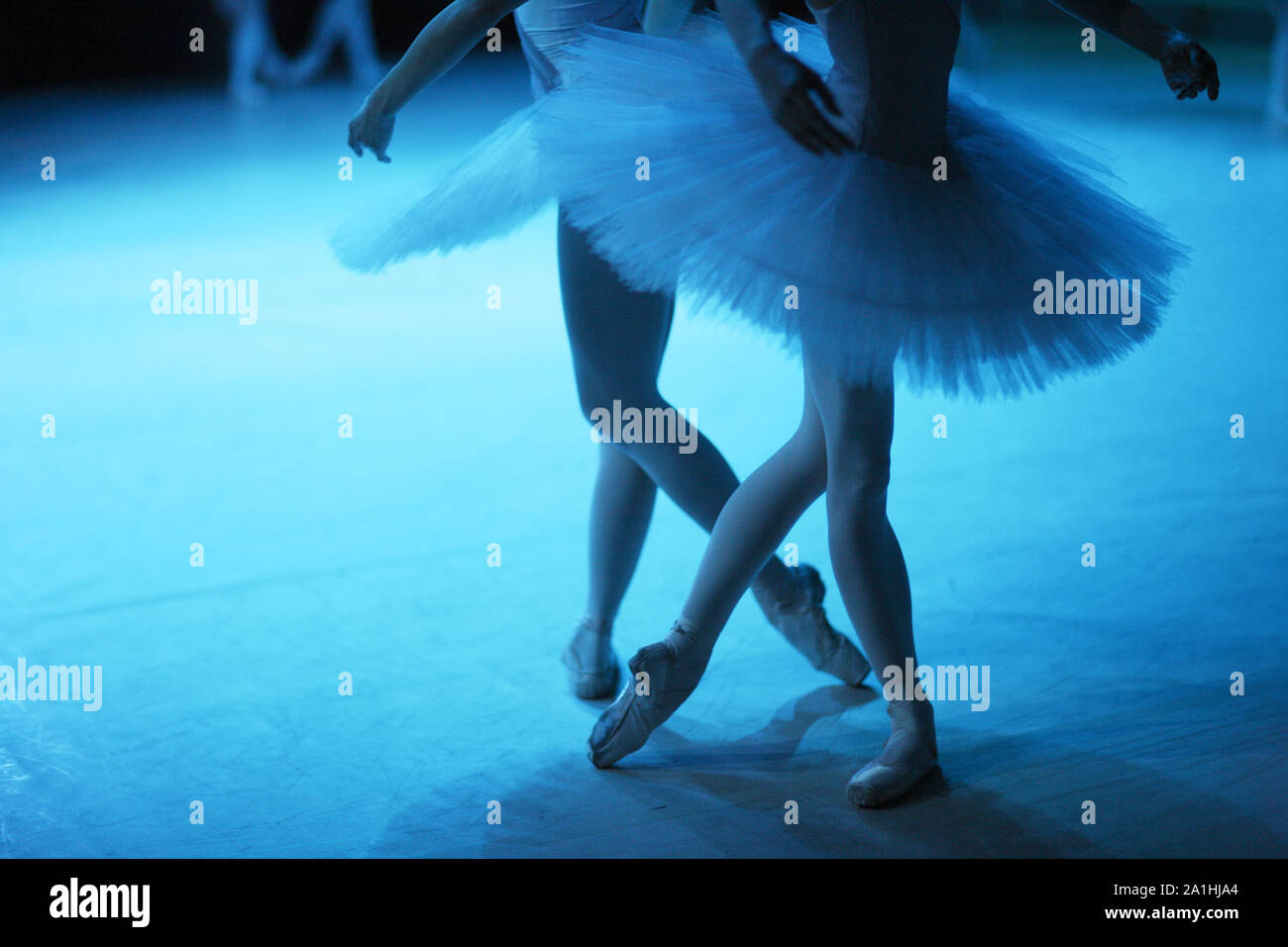 Figures of the duo of ballerinas on the stage of the Opera and Ballet ...