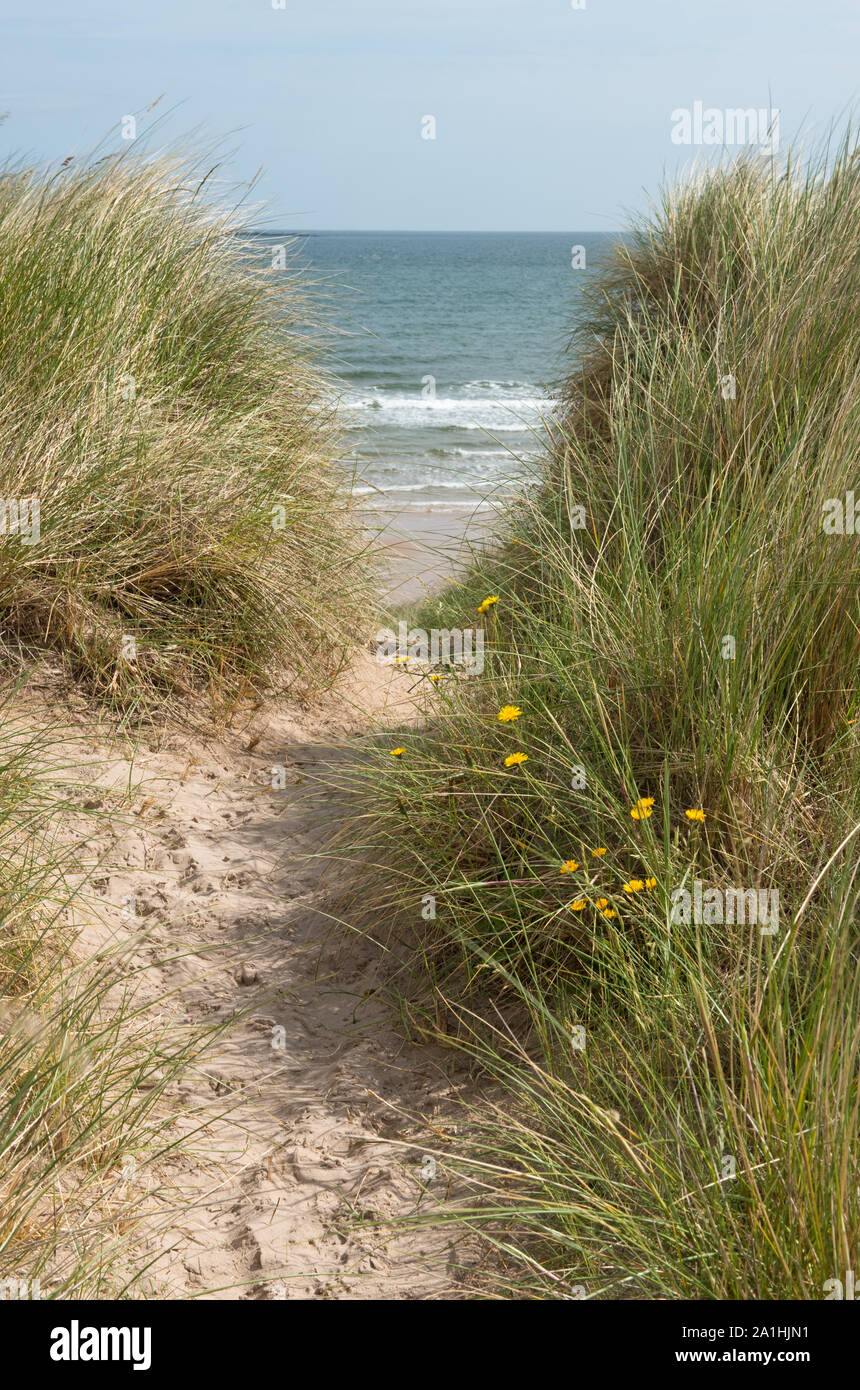 Walking through sea sand hi-res stock photography and images - Alamy