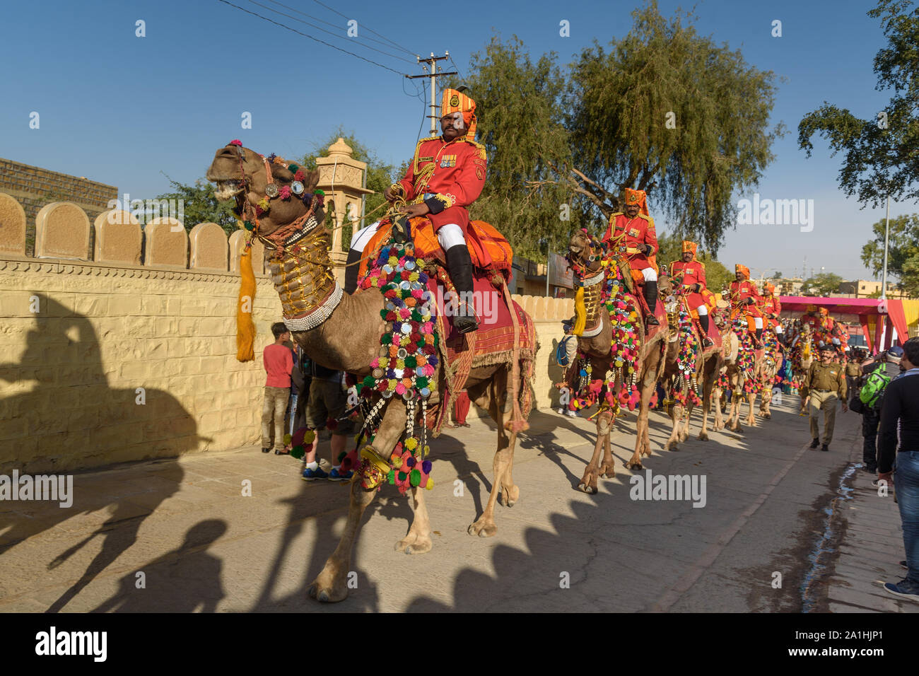 Camel with ceremonial hi-res stock photography and images - Alamy
