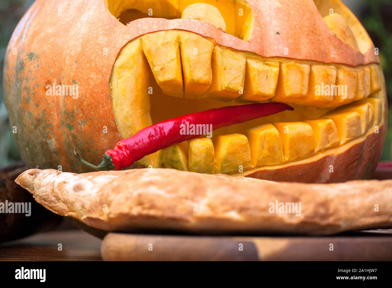 Hungry pumpkin with pepper. In mouth a pointy red pepper tongue sticks ...